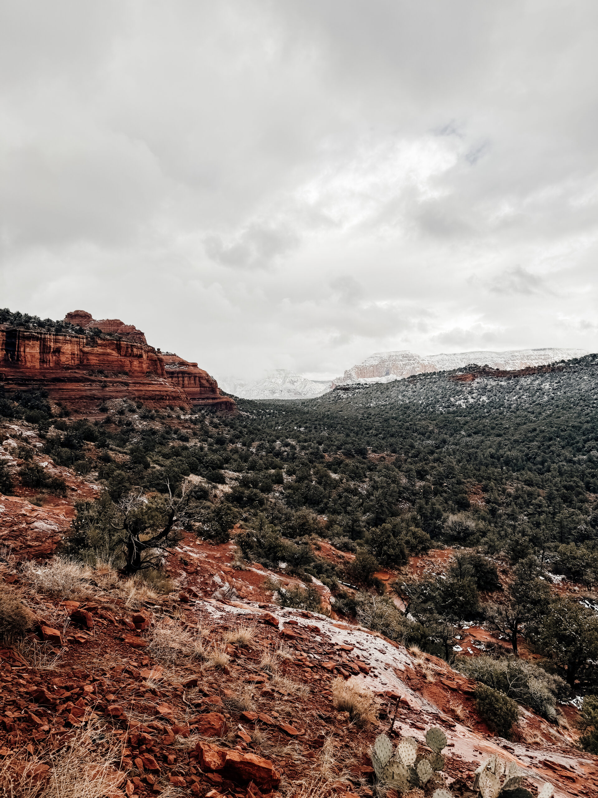 Sedona Vortex Hikes - Erin Spain