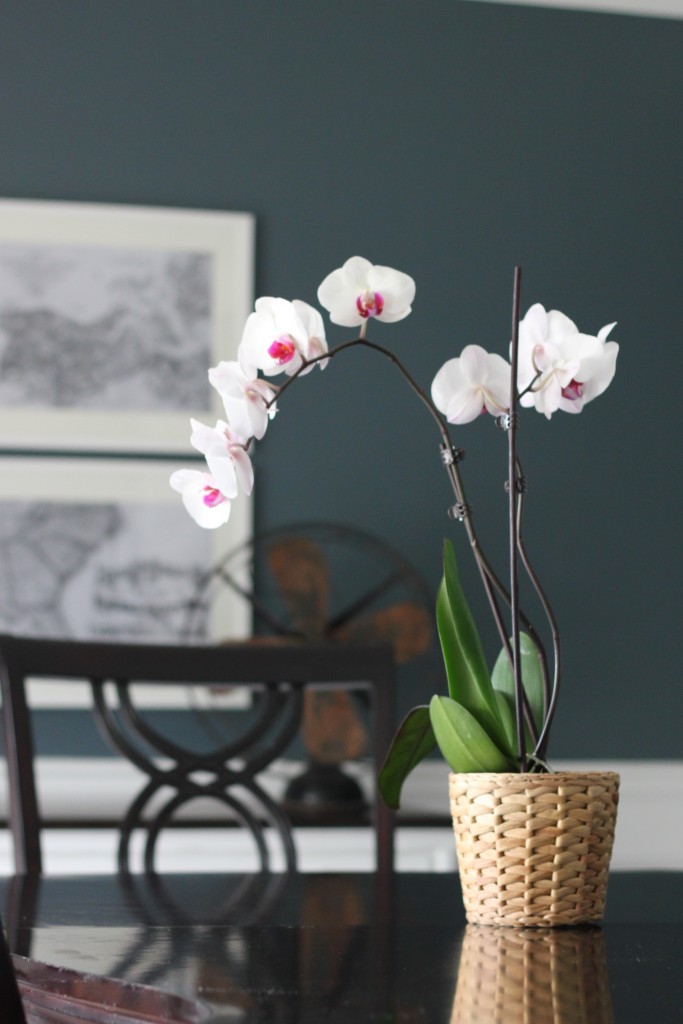 Dining Room Makeover - Erin Spain