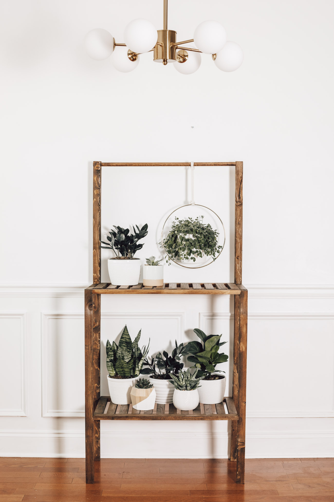 DIY Plant Shelf - Erin Spain