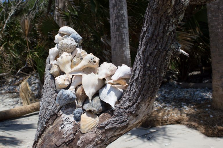 Our Trip to Edisto & My Top 5 Beach Must-Haves - Erin Spain