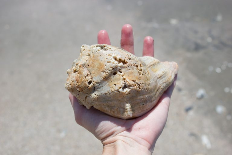 Our Trip to Edisto & My Top 5 Beach Must-Haves - Erin Spain