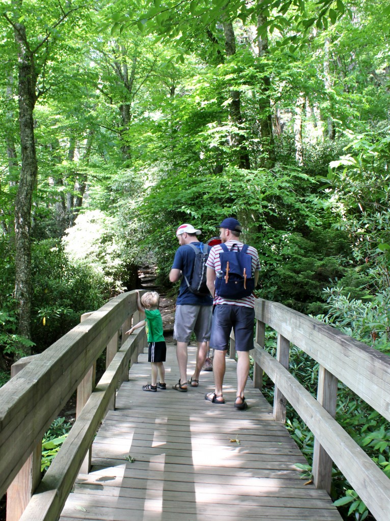 Our Blue Ridge Mountains Adventure - Erin Spain