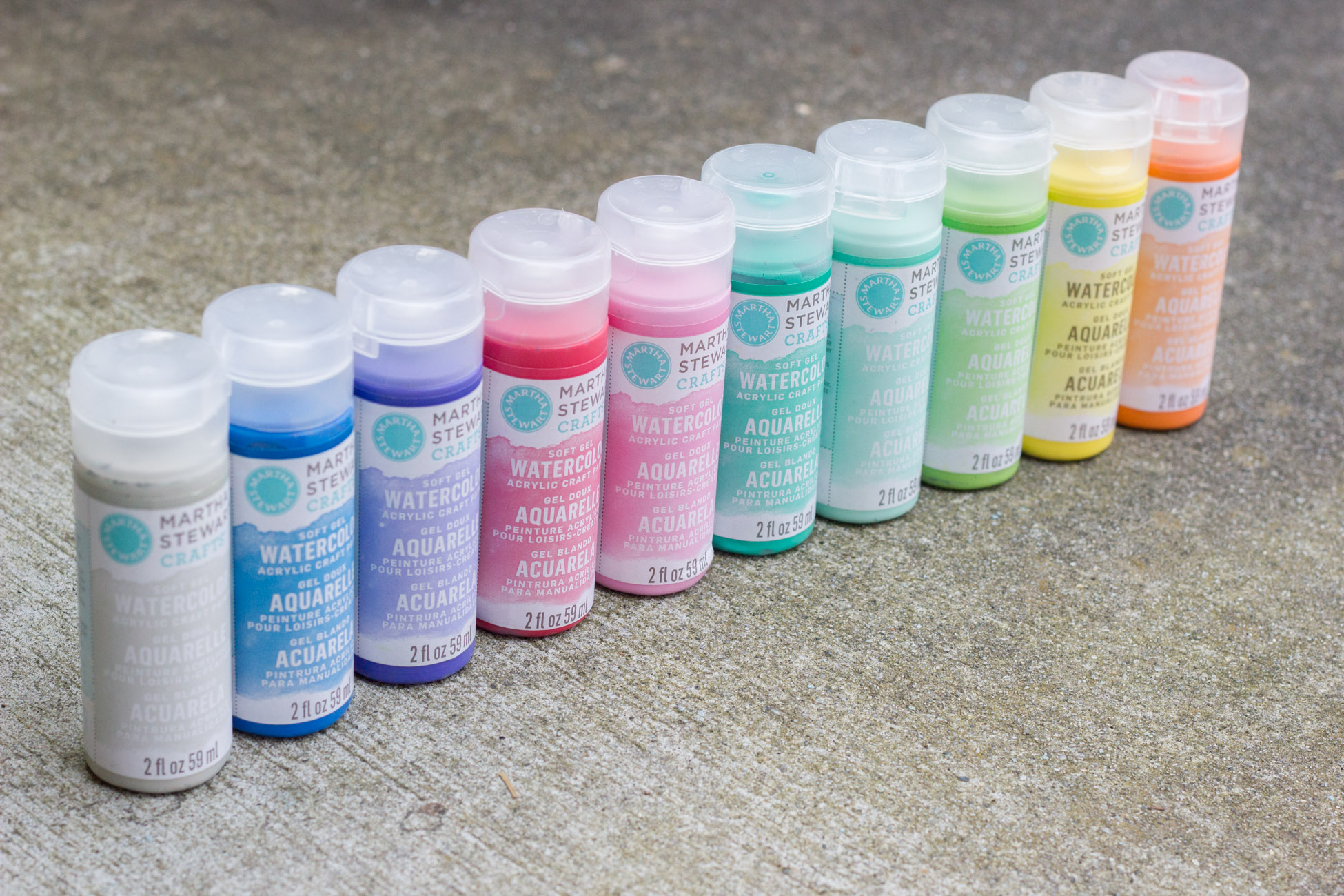 DIY Tropical Watercolor Art on Wood - Erin Spain